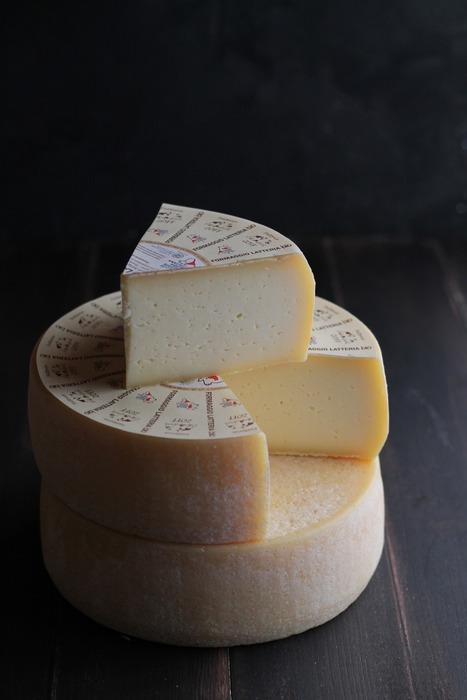 Formaggio Latteria